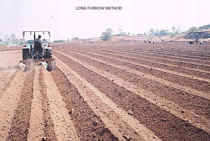 Vasantdada Sugar Institute (VSI), Premier Research and Development ...